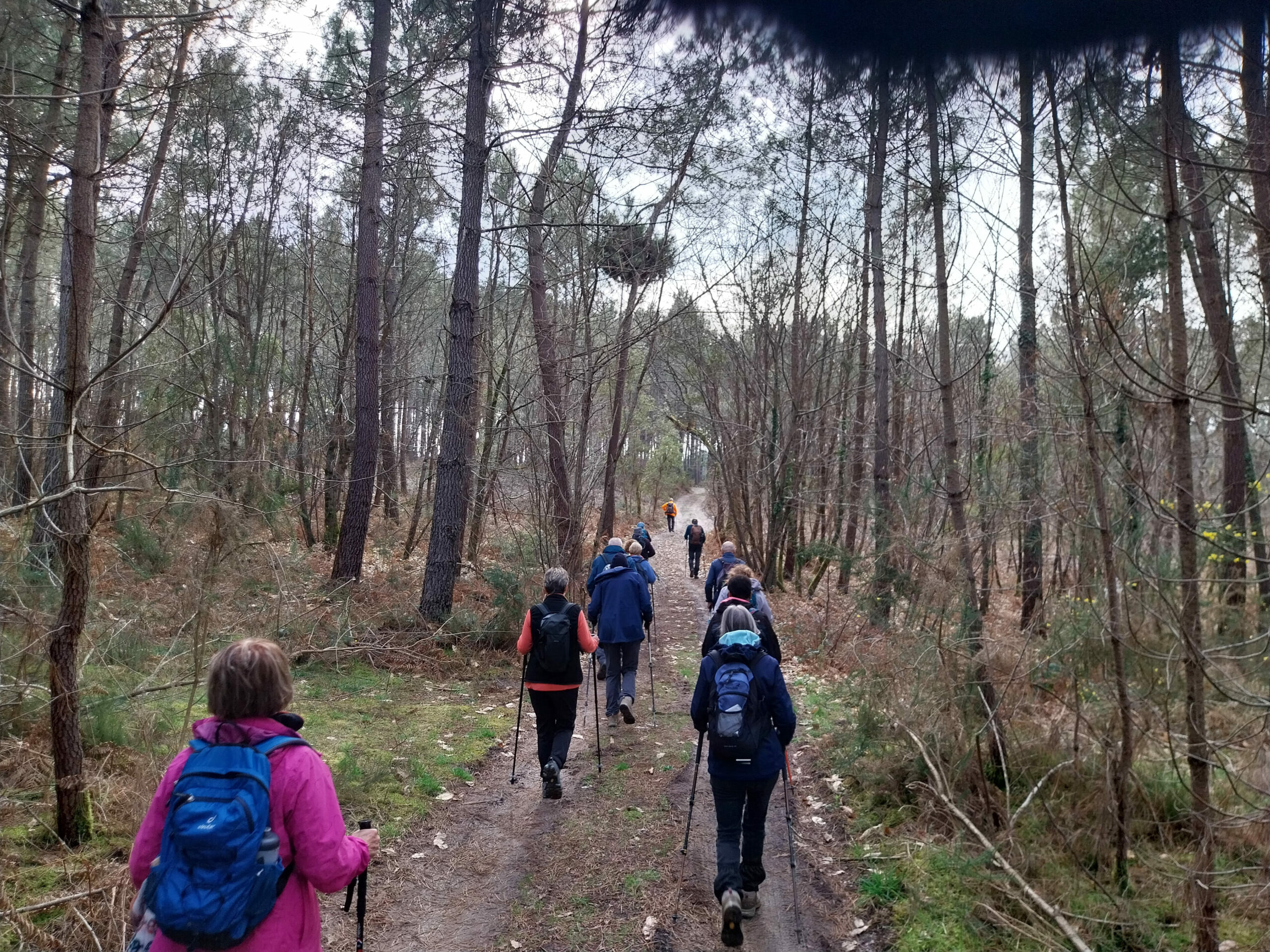 Rando Dynamique du 18 Février 2025 - Rando Val de Garonne